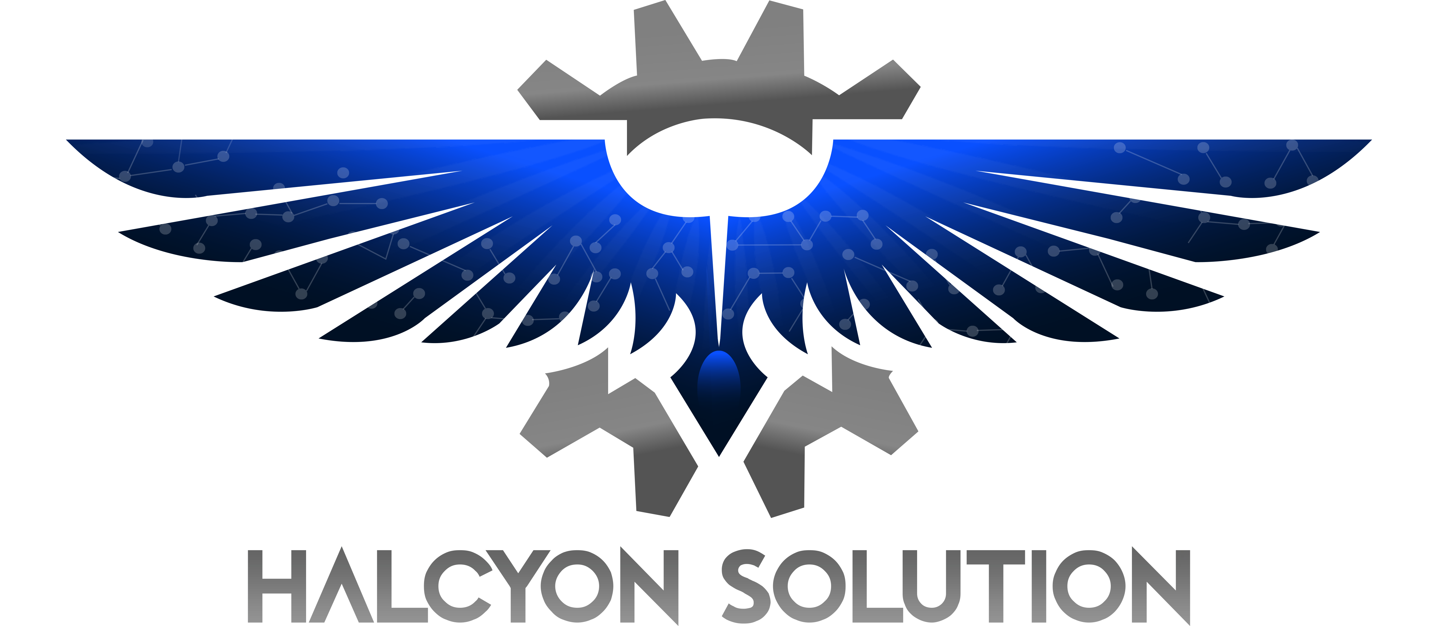 Halcyon Solution